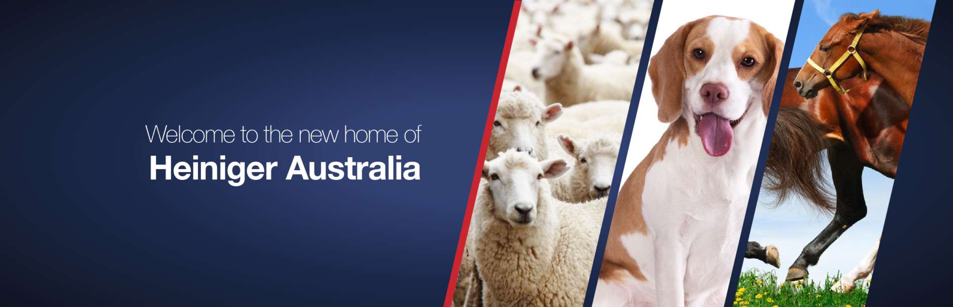 Home | Heiniger Australia