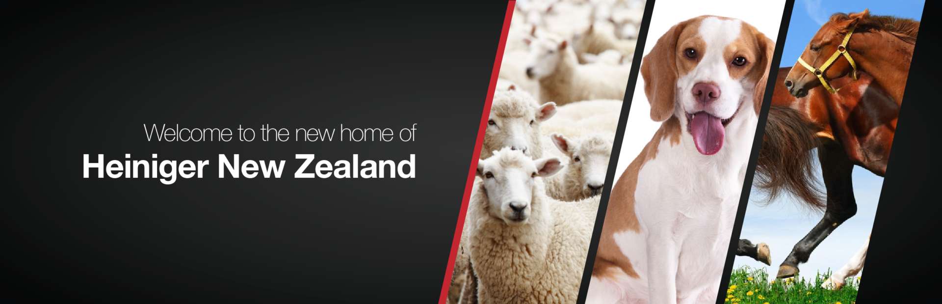 Heiniger New Zealand