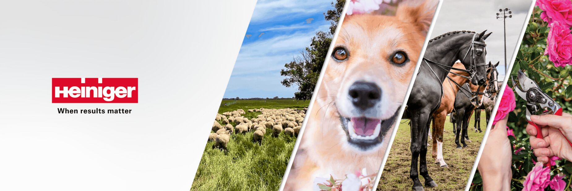 Home | Heiniger Australia