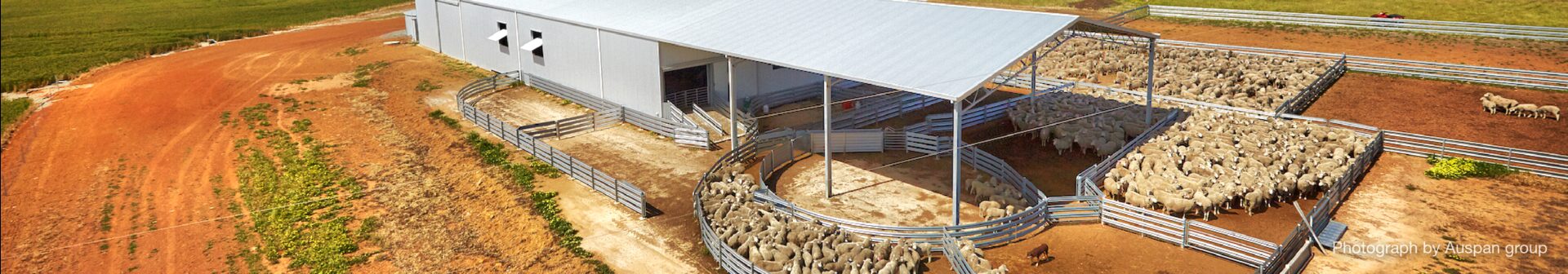 TPW Xpress Woolpress | Heiniger Australia